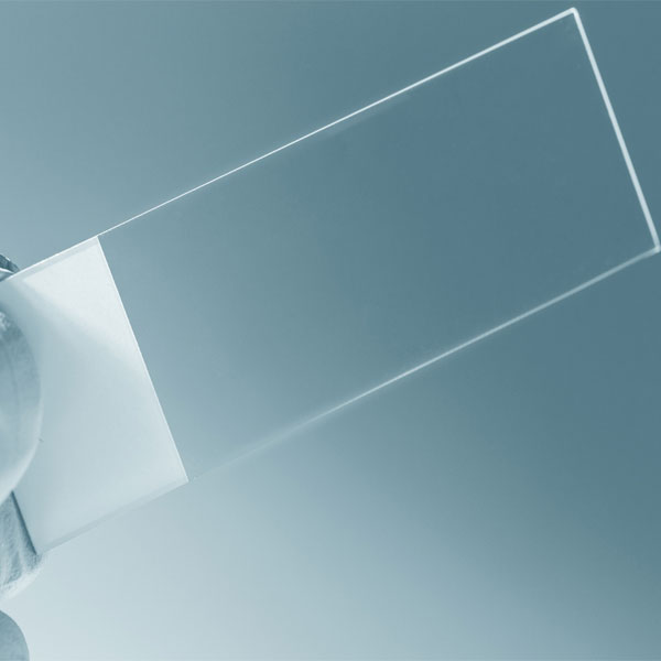 Microscope slides - Medess Medical Ltd